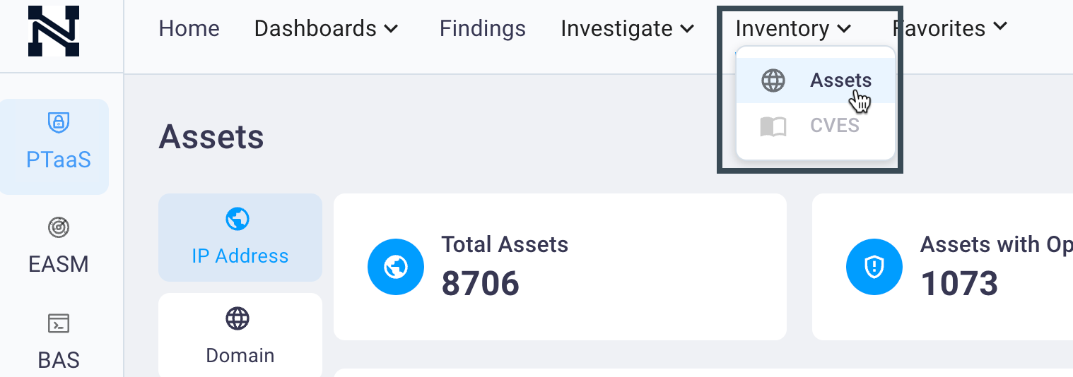 Navigating the PTaaS module | The NetSPI Platform