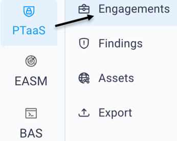 Quick start for the NetSPI Platform | The NetSPI Platform